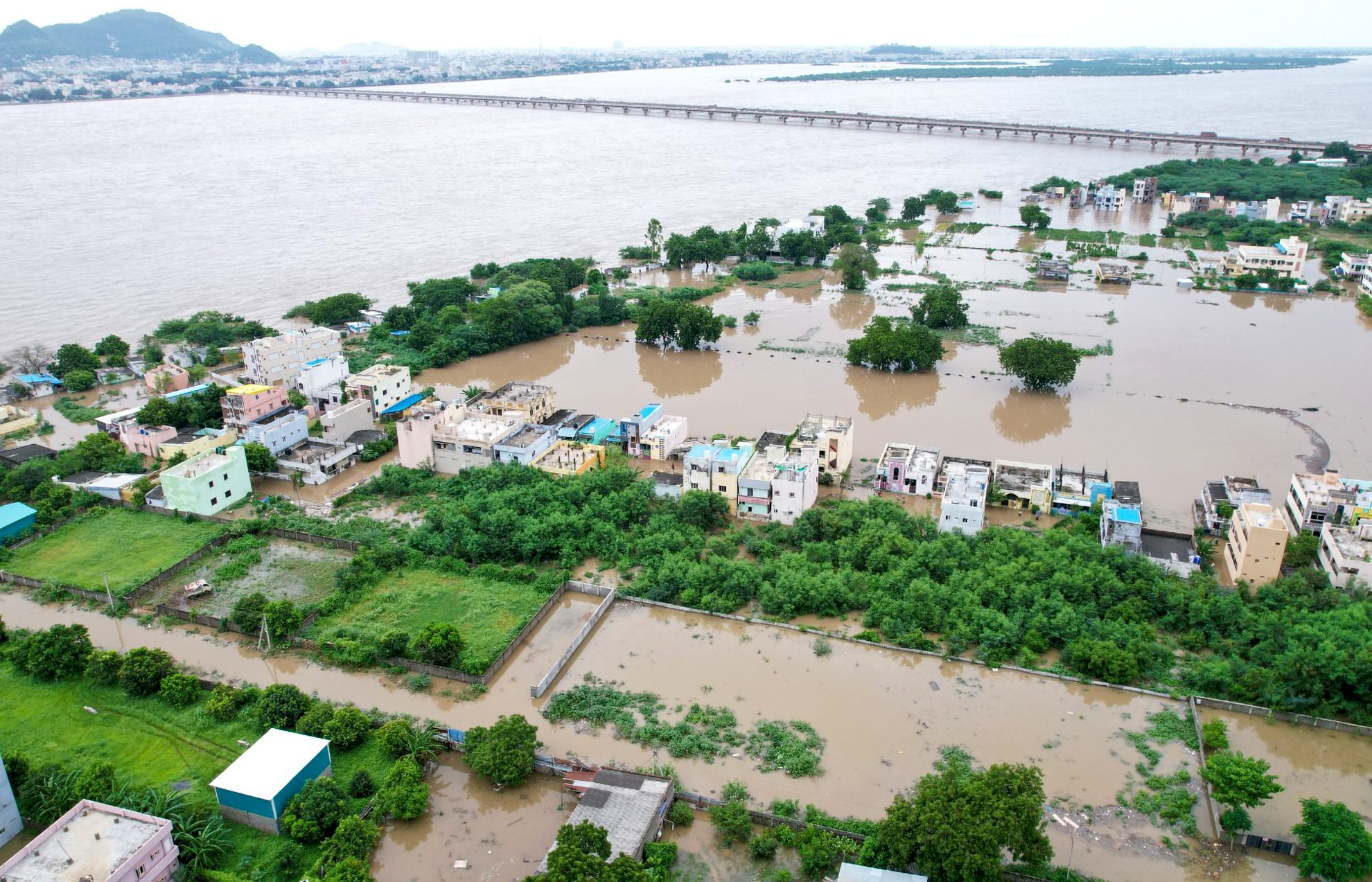 Floods in Andhra Pradesh damaged crops in 1.8 lakh hectares: Shivraj ...