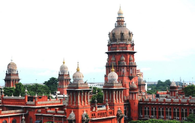 Madras High Court Constitutes SIT to Probe TVK Rally Stampede, 41 Dead